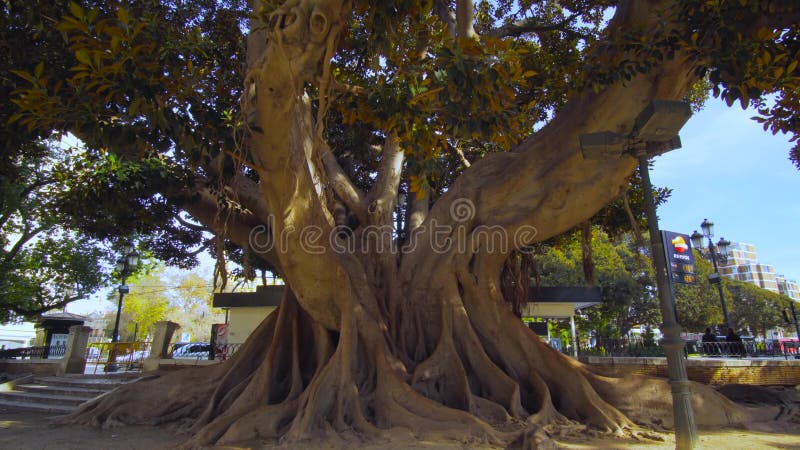 Valencia Spain City Center Architecture Stock Footage - Video di vista ...