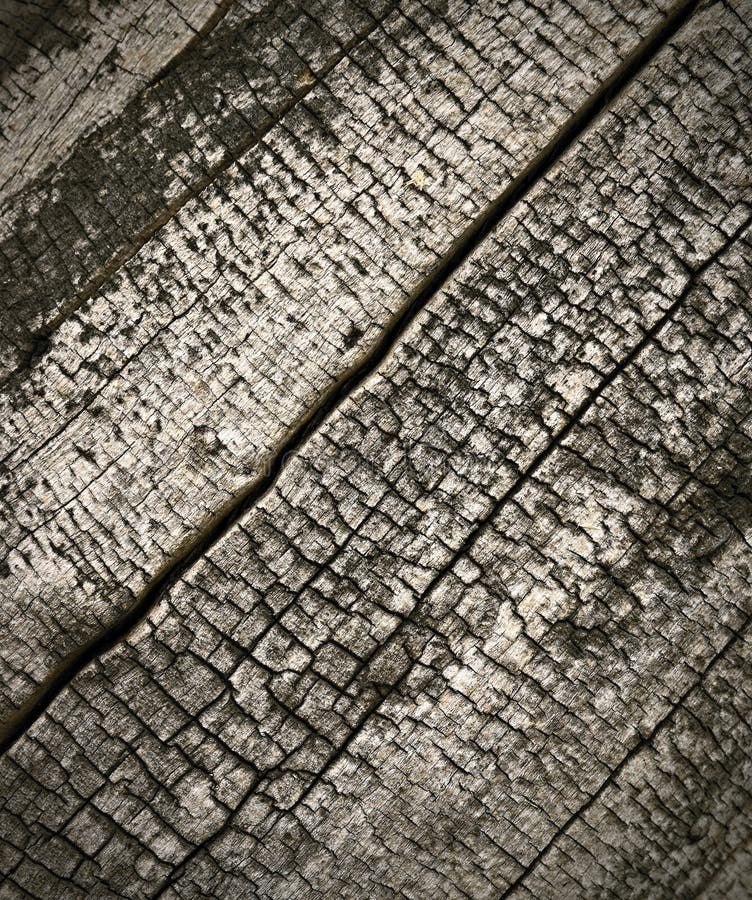 Vecchio Legno Marcio Astratto Immagine Stock - Immagine di bordi, parte ...
