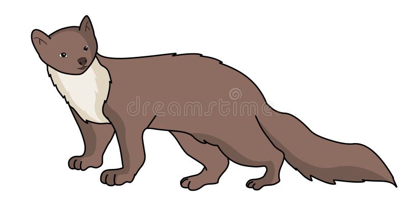 Martre Stock Illustrations, Vecteurs, & Clipart – (312 Stock Illustrations)