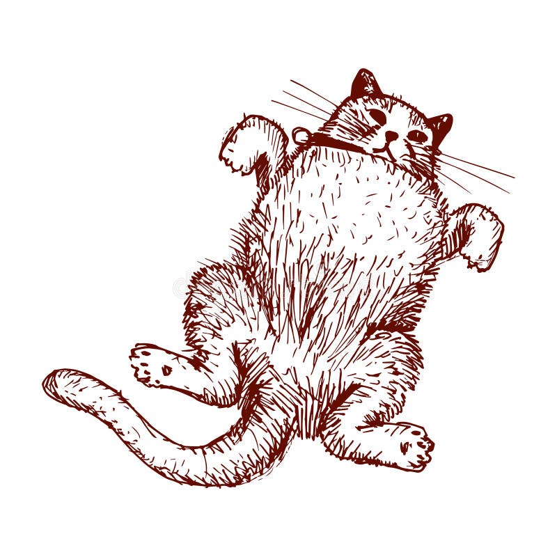 Vecteur De Dessin Du Chat Heureux Illustration de Vecteur ...