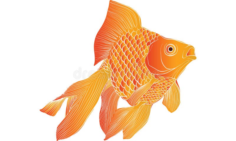 Dessin De Poisson Rouge Poissons Gais Illustration Stock - Illustration ...