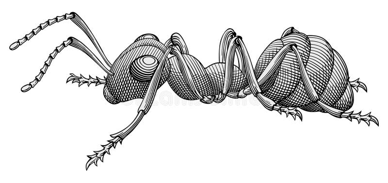 Fourmi Stock Illustrations, Vecteurs, & Clipart – (22,534 Stock ...