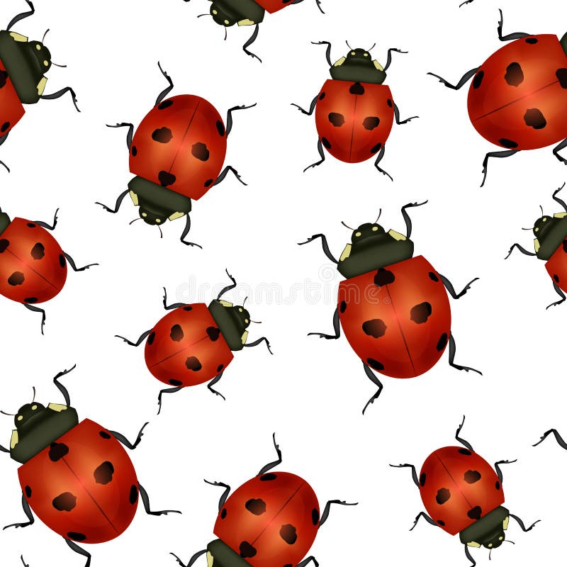Insecte Coccinelle. Coccinellidae. Croquis De Ladybug. Coccinelle. Dame ... Insecte Coccinelle. Coccinellidae. Croquis De Ladybug. Coccinelle. Dame ...