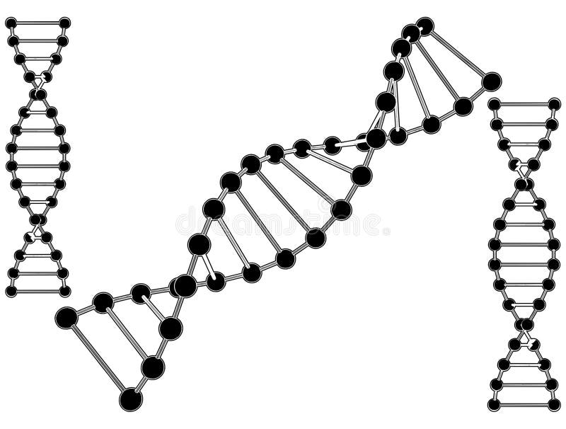 Vector 01 De La Cadena De La DNA Ilustración del Vector - Ilustración ...