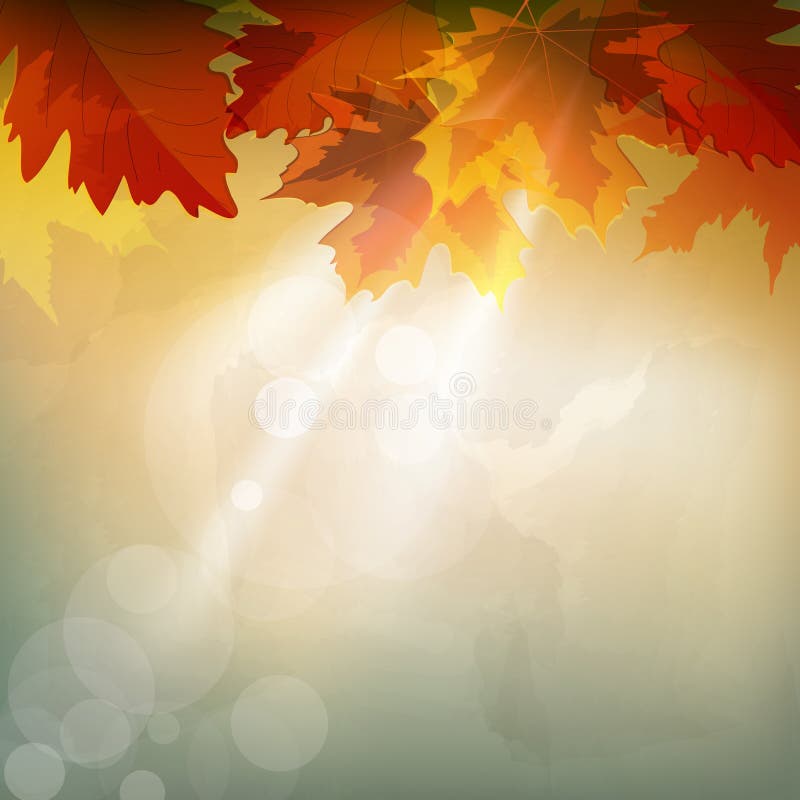 Vector Abstract Autumn Background Stock Vector - Illustration of ...