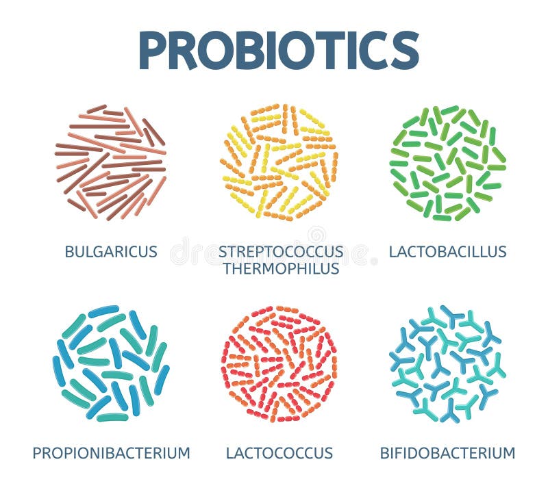Vector Abstract Bacteriology Icons. Probiotics Stock Illustration ...