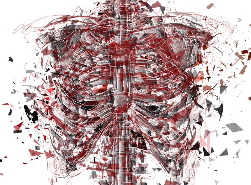 Human Skeleton Exploded Stock Illustrations – 10 Human Skeleton ...