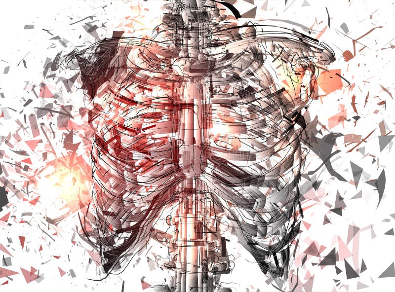 Human Skeleton Exploded Stock Illustrations – 10 Human Skeleton ...