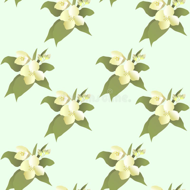 Vector Abstract Jasmine Flower Seamless Pattern Stock Vector ...