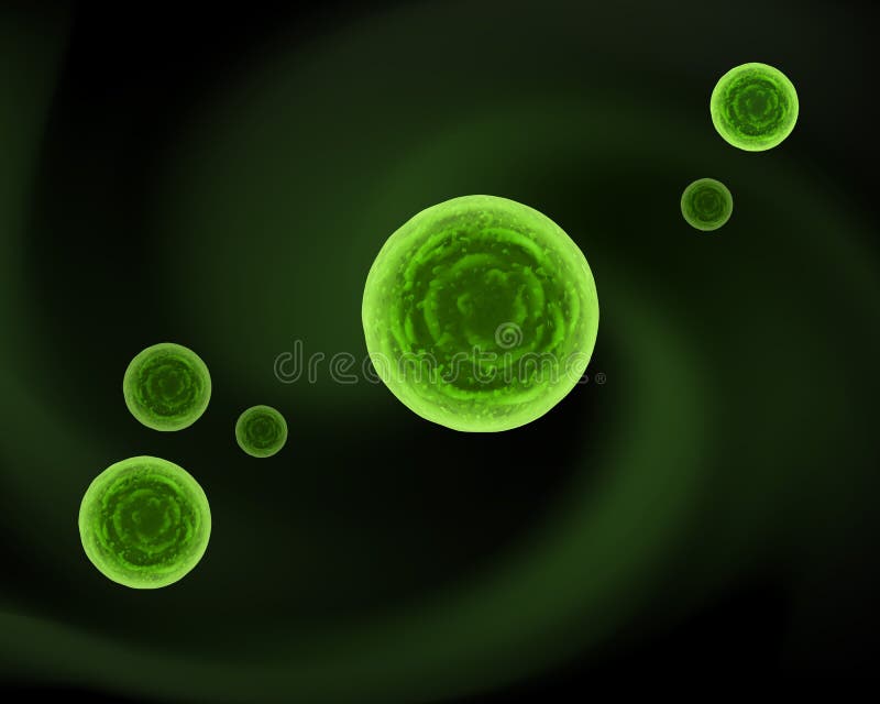 Sphere bacteria cells stock vector. Illustration of macro - 214973651