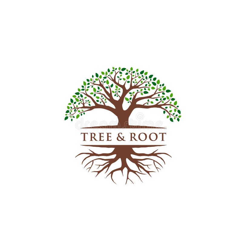 Vector Abstract Tree and Root Logo Design Inspiration Stock Vector ...