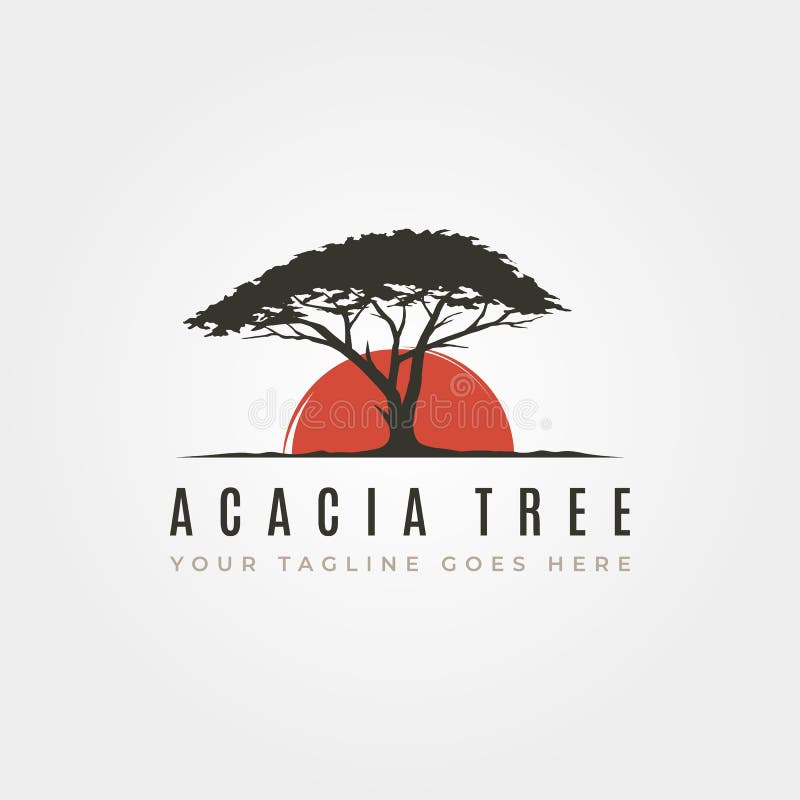 Vector of Acacia Tree Silhouette Logo with Sunset Symbol Illustration ...
