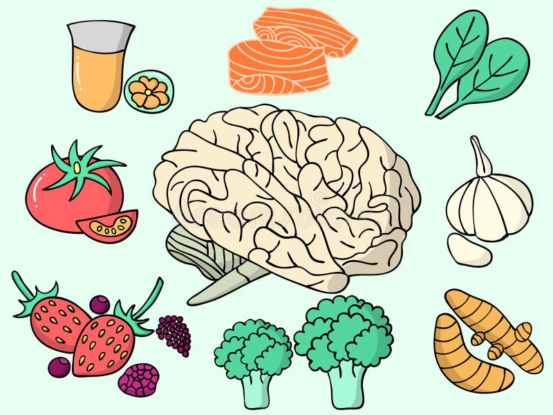 Brain Healthy Foods Stock Illustrations – 239 Brain Healthy Foods Stock ...