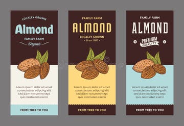 Vector Almond Labels in Modern Style Stock Vector - Illustration of ...