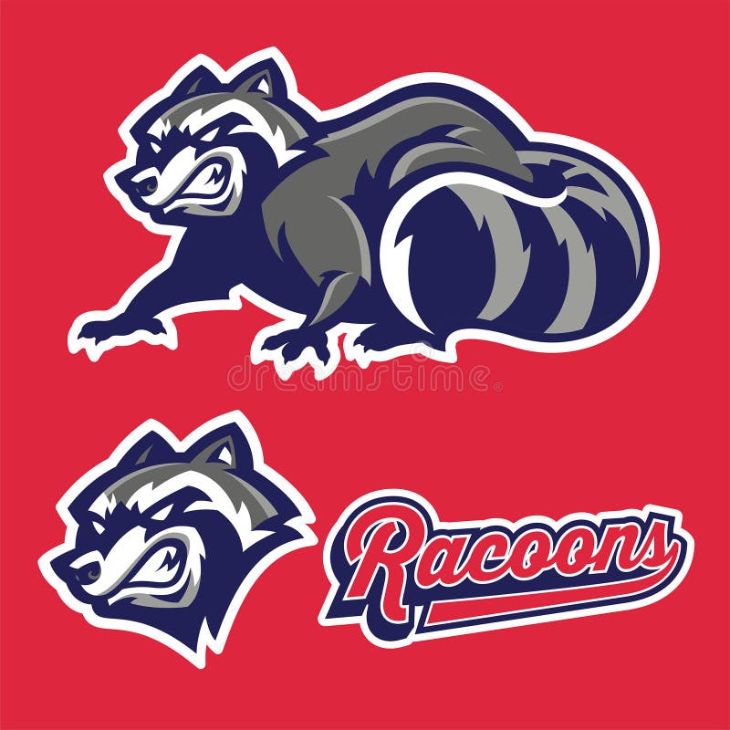 Angry Raccoon Stock Illustrations – 430 Angry Raccoon Stock ...