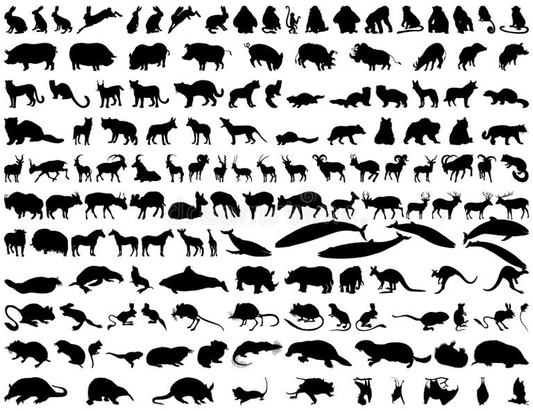 Different Illustration Vector Animals Stock Illustrations – 13,251 ...