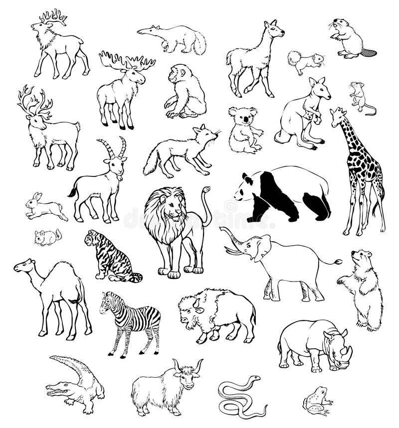 Circus Animals stock vector. Illustration of entertainment - 23538186