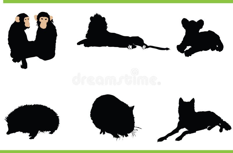 Vector animals collection stock vector. Illustration of boar - 5734470