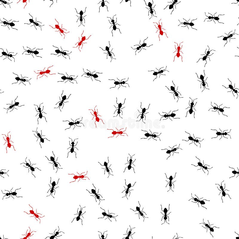 Vector Ants Seamless Pattern Stock Vector - Illustration of cute ...