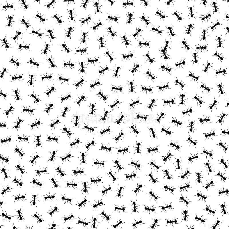 Vector ants - texture stock vector. Illustration of explore - 8976734
