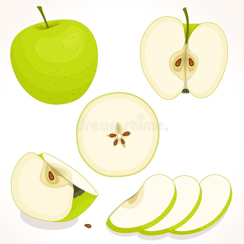 Vector Apple. Sliced, Whole, Half Apple. Stock Vector - Illustration of ...