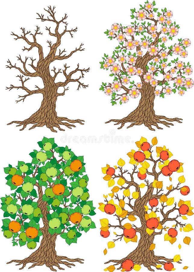 Vector Apple Tree. Tree Collection. Tree Season Stock Vector ...