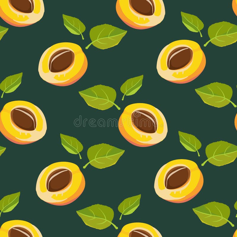 Vector Apricot Seamless Pattern Stock Vector - Illustration of apricot ...