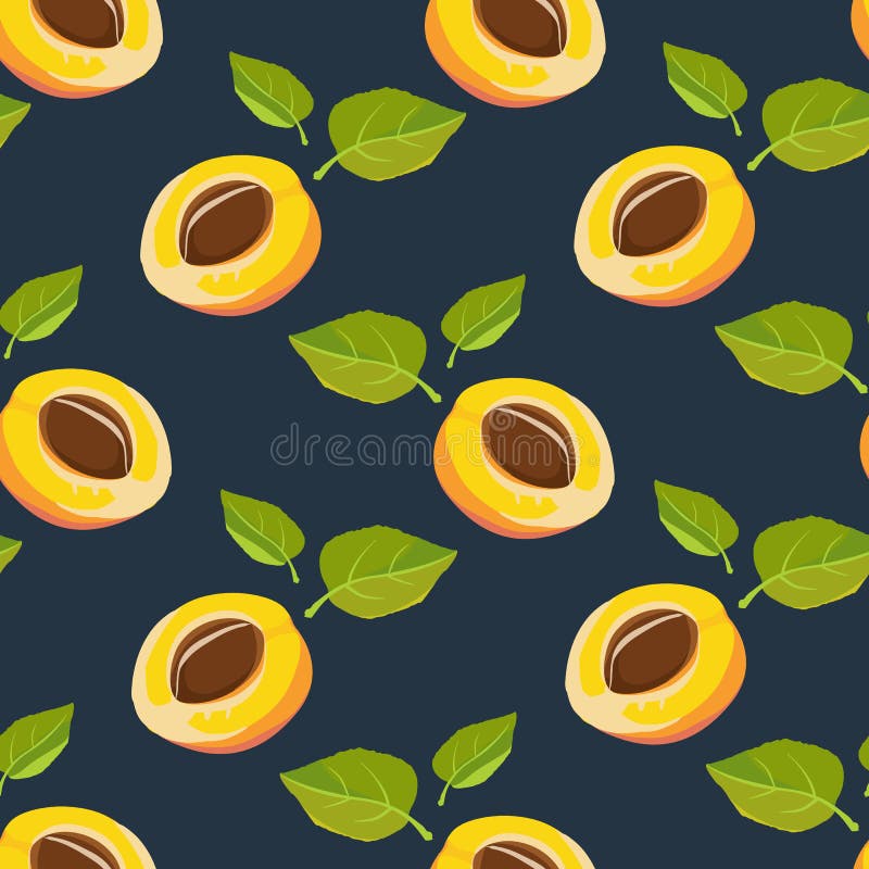 Vector Apricot Seamless Pattern Stock Vector - Illustration of green ...