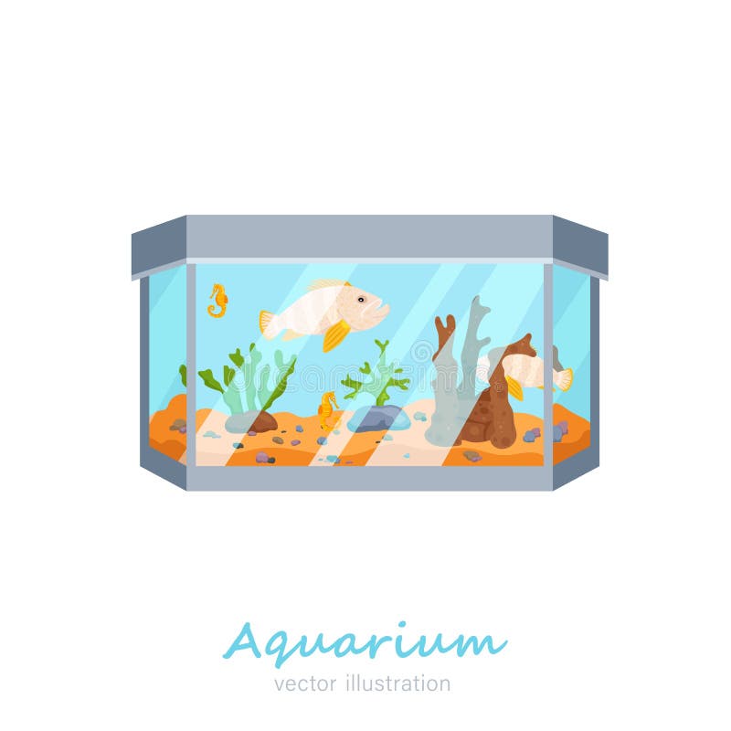 Rectangle Fish Tank Cartoon