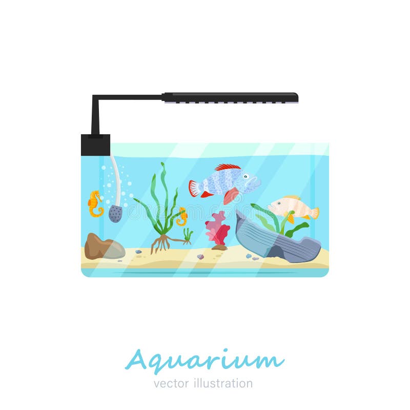 Rectangular Fish Tank Stock Illustrations – 96 Rectangular Fish Tank ...