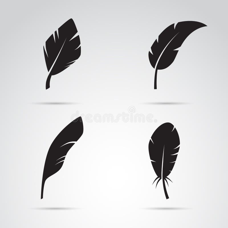 Feather Collection Vector Icon Set. Stock Vector - Illustration of ...