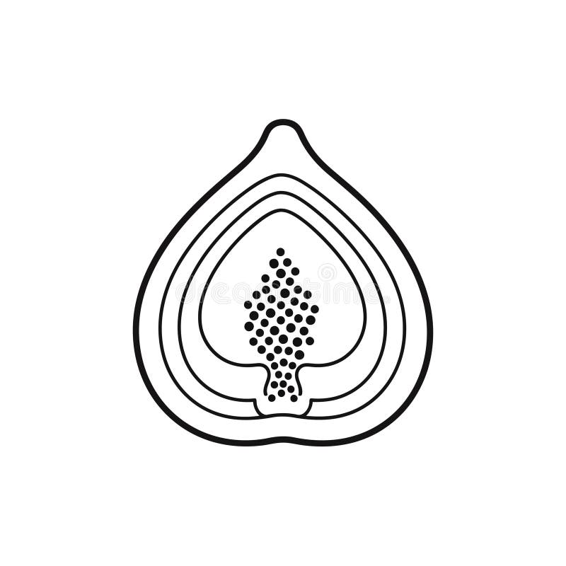 Vector Art of Fig Fruit Cross Section, Showcasing Its Unique Internal ...