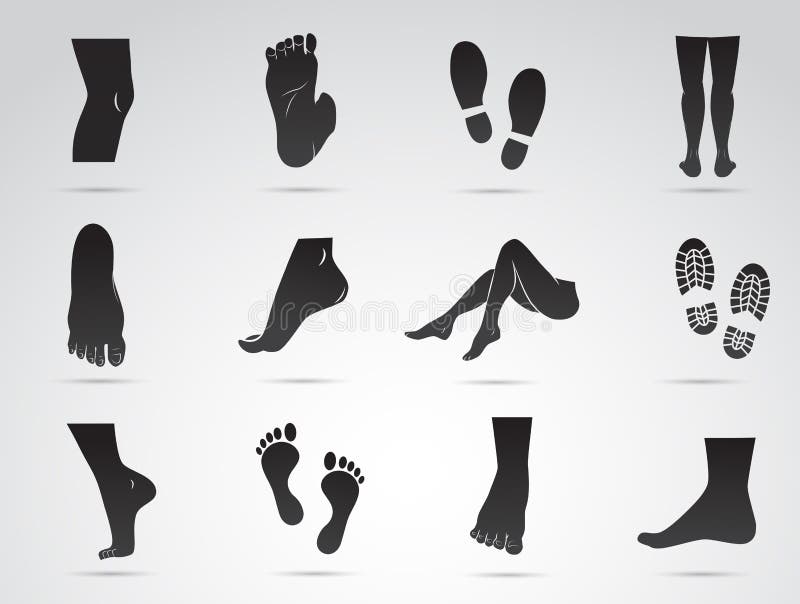 Human Legs Vector Icon Set on White Background. Stock Vector ...