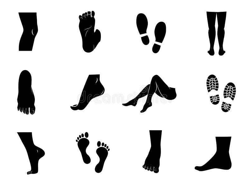 Human Legs Vector Icon Set on White Background. Stock Vector ...