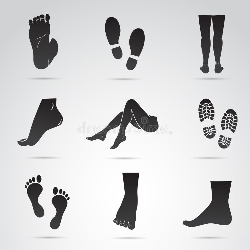 Human Legs Vector Icon Set on White Background. Stock Vector ...
