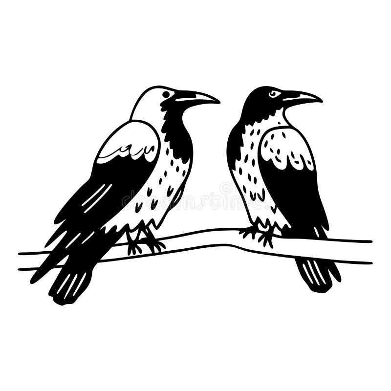 Pair of Ravens Perched on Branch Vector Art for Tattoo and Design Stock ...