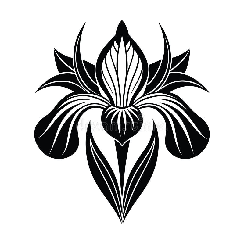 Vector Art Iris Flower Illustration Stock Illustration - Illustration ...