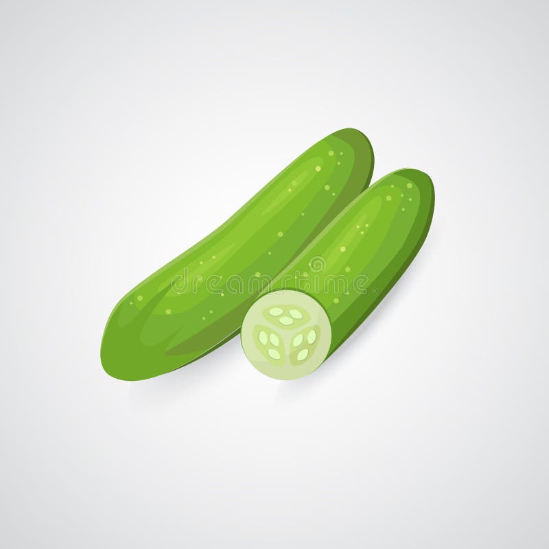 Cucumber Vector Realitic Vegetable Icon. Stock Vector - Illustration of ...