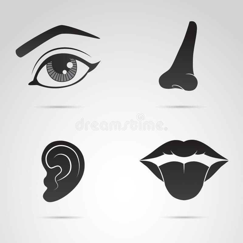 Face Elements Vector Icon Set. Stock Vector - Illustration of mouth ...