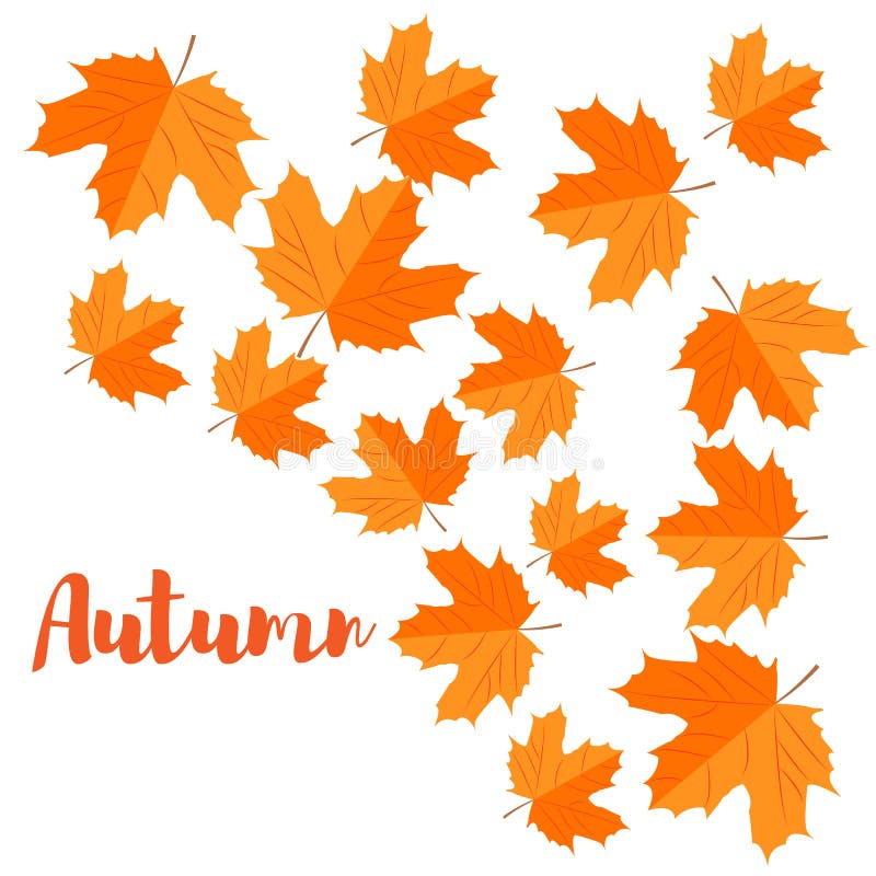 Vector. Autumn Background. Falling Yellow Maple Leaves Stock Vector ...