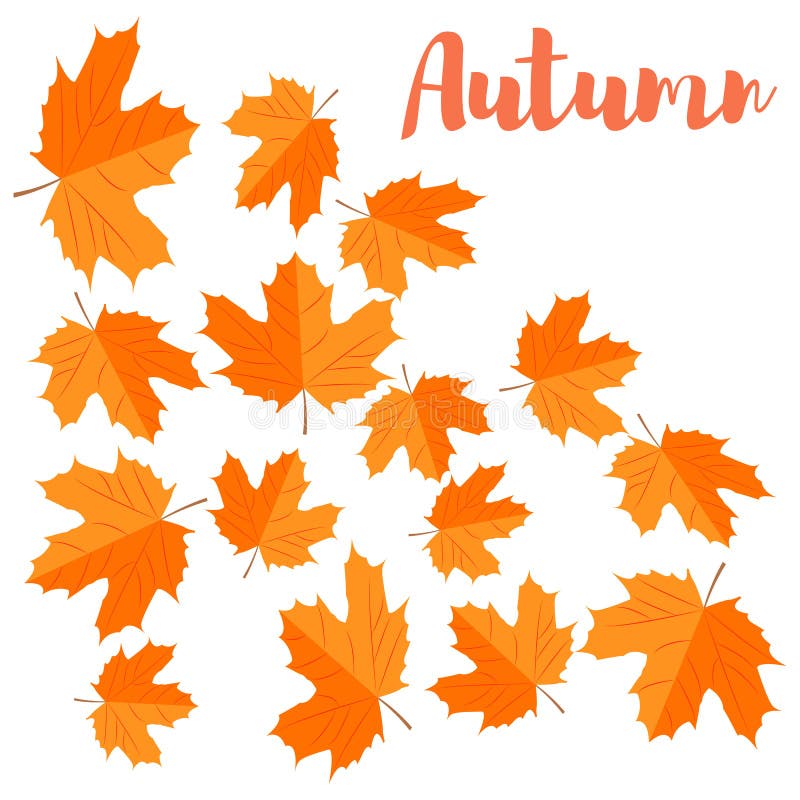 Vector. Autumn Background. Falling Yellow Maple Leaves Stock Vector ...