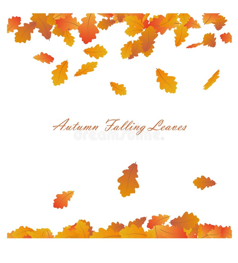 Vector Autumn Frame with Falling Maple Leaves on White Background ...