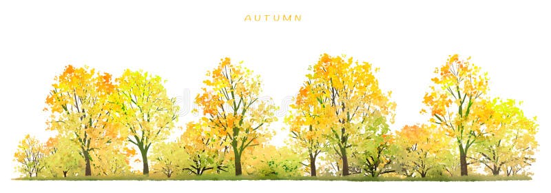 Vector of Autumn Tree or Forest Side View Isolated on White Background ...
