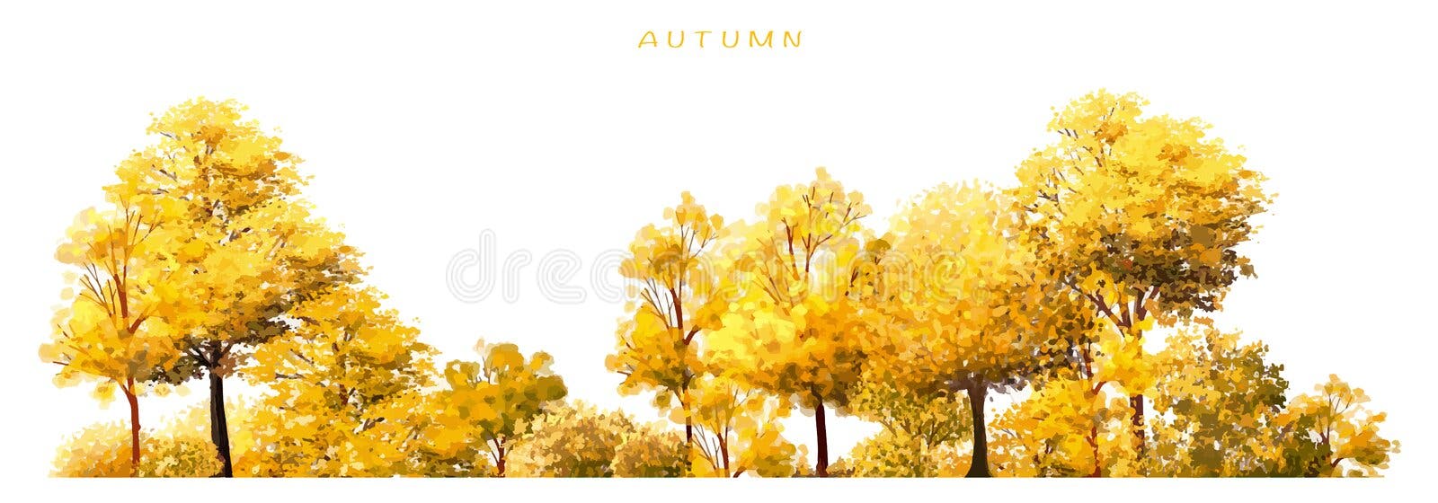 Vector of Autumn Tree or Forest Side View Isolated on White Background ...
