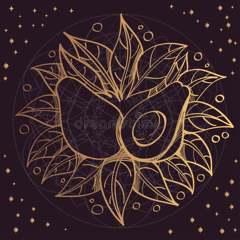 Bome Stock Illustrations – 10 Bome Stock Illustrations, Vectors ...