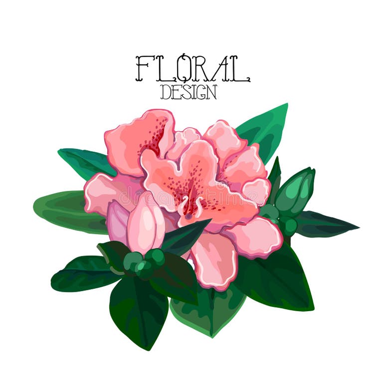 Azalea Vector Stock Illustrations – 2,169 Azalea Vector Stock ...
