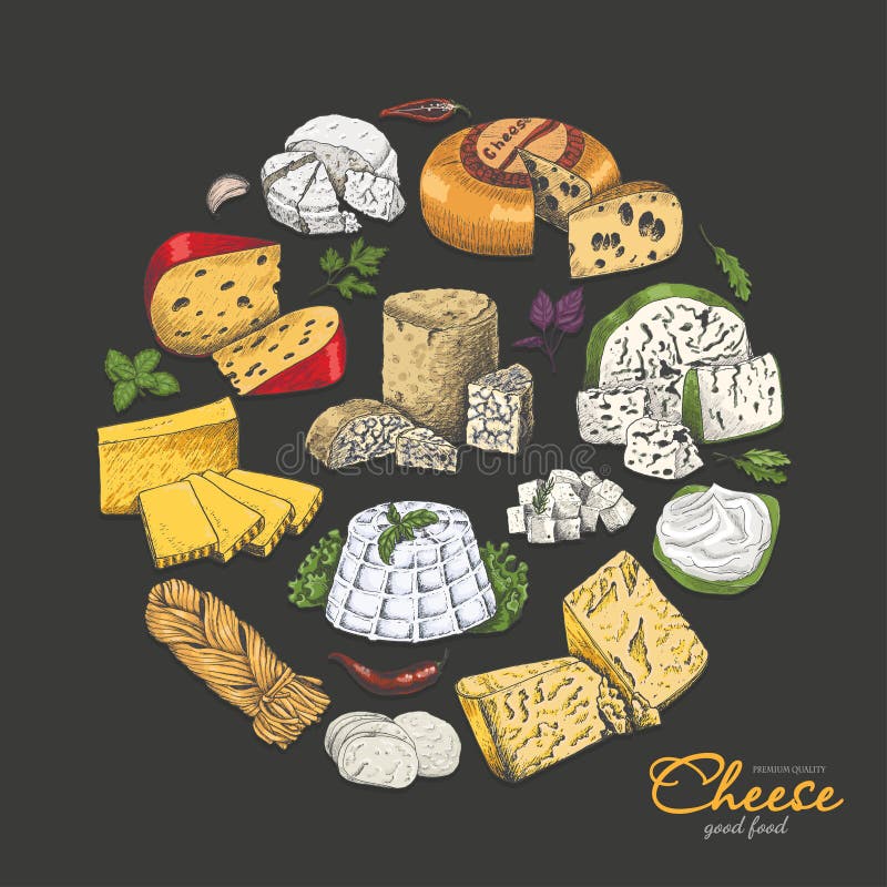 Vector Background with Cheeses in Sketch Style Stock Vector ...