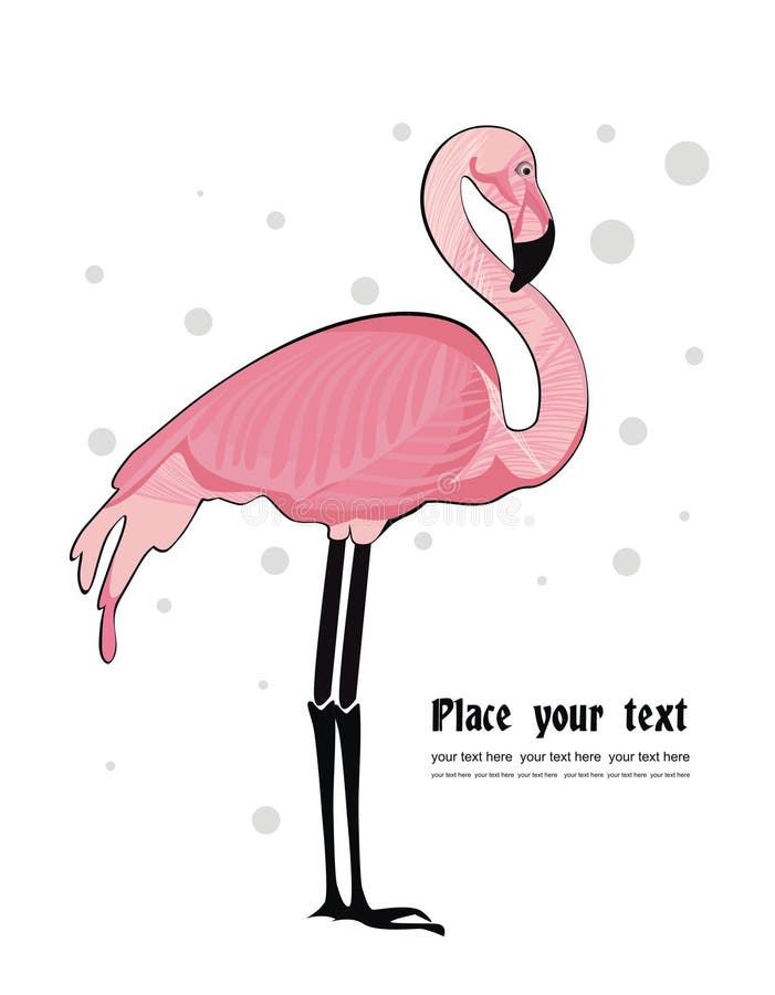 Vector Background with Flamingo Stock Vector - Illustration of life ...