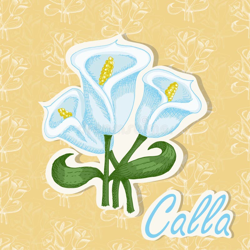 Calla Vector Icon in 6 Different Modern Styles. Black, Two Colored ...