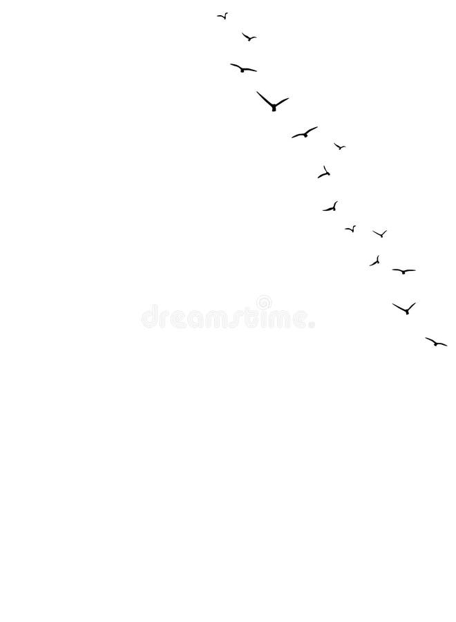 Vector Background with Flying Birds on the Right Side Stock ...